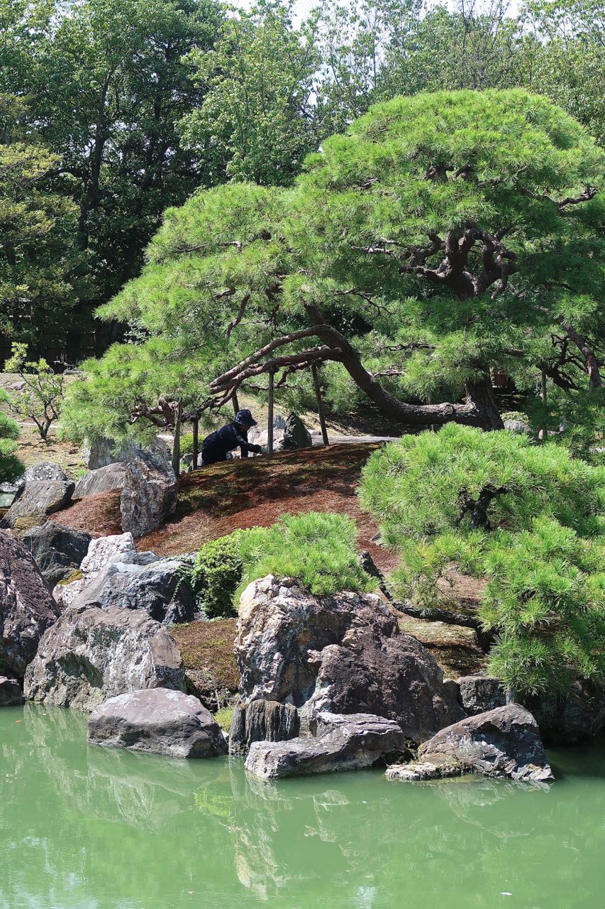 Scrumpdillyicious: Nijō Castle of Shogun Tokugawa Ieyasu