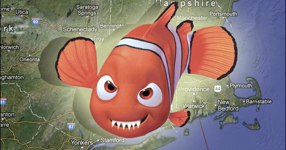 Marlin Finding Nemo Scared