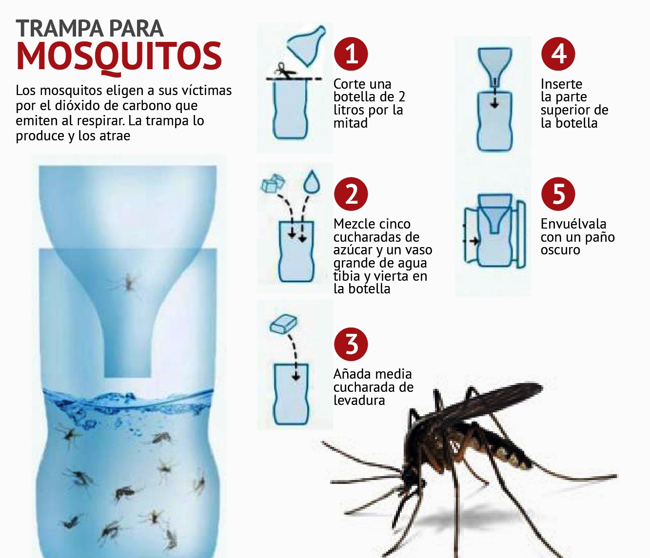 NOTICIAS TLAPACOYAN : Crean trampa casera Para matar zancudos