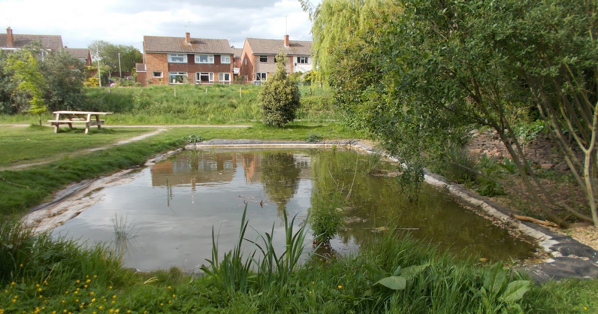 Off the Beaten Track in Somerset: The Chard Canal