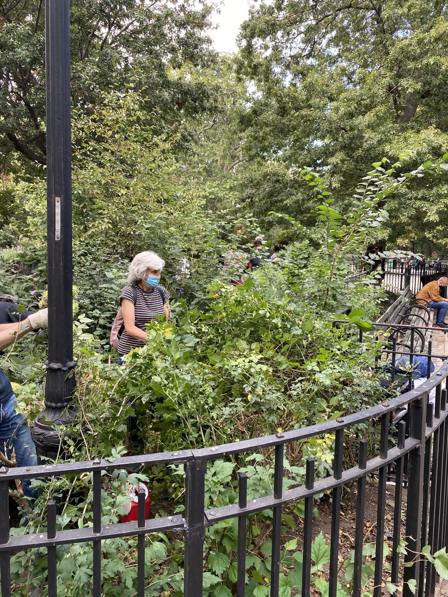 EV Grieve: A community effort to clean up Tompkins Square Park today