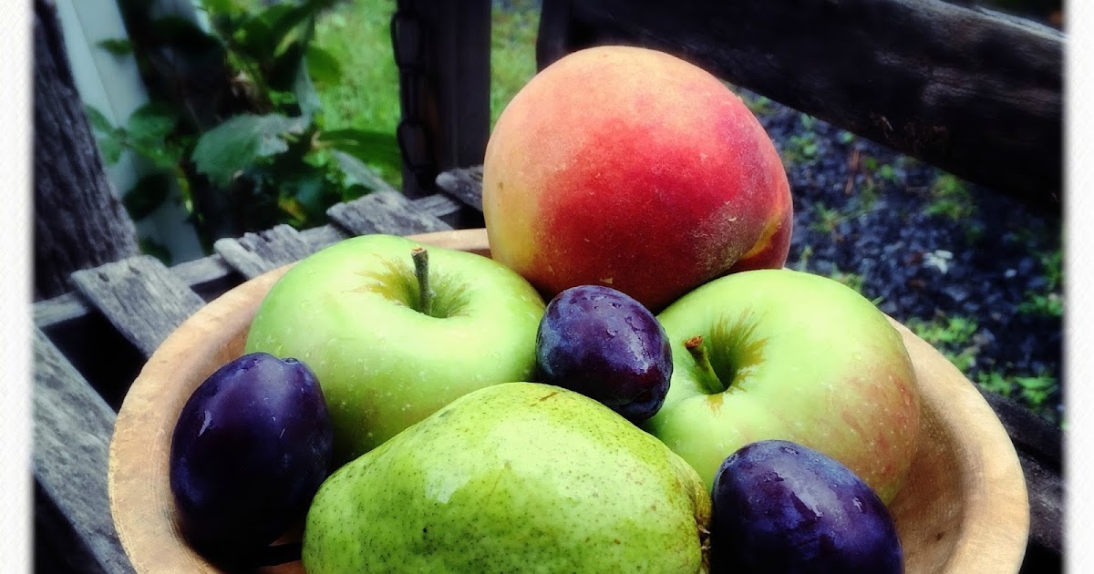 Beth Fish Reads: Wordless Wednesday 462