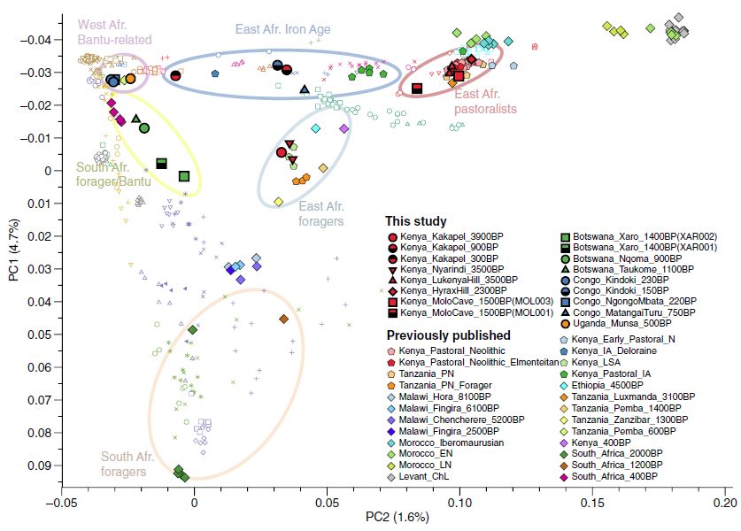 Dispatches From Turtle Island: Ancient Subsaharan African DNA