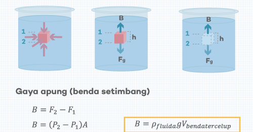 Hukum Archimedes ǀ Bunyi, Penurunan Persamaan Gaya Apung, dan Analisis ...