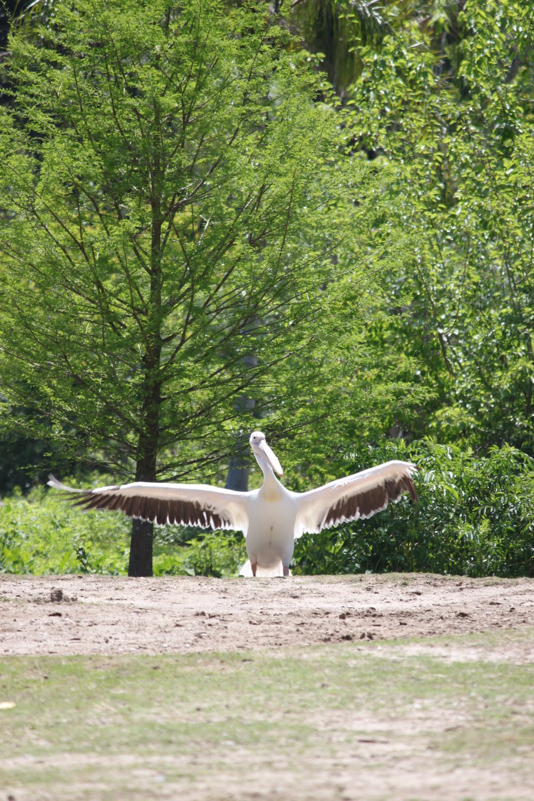 The Robertson Family: New Orleans Zoo