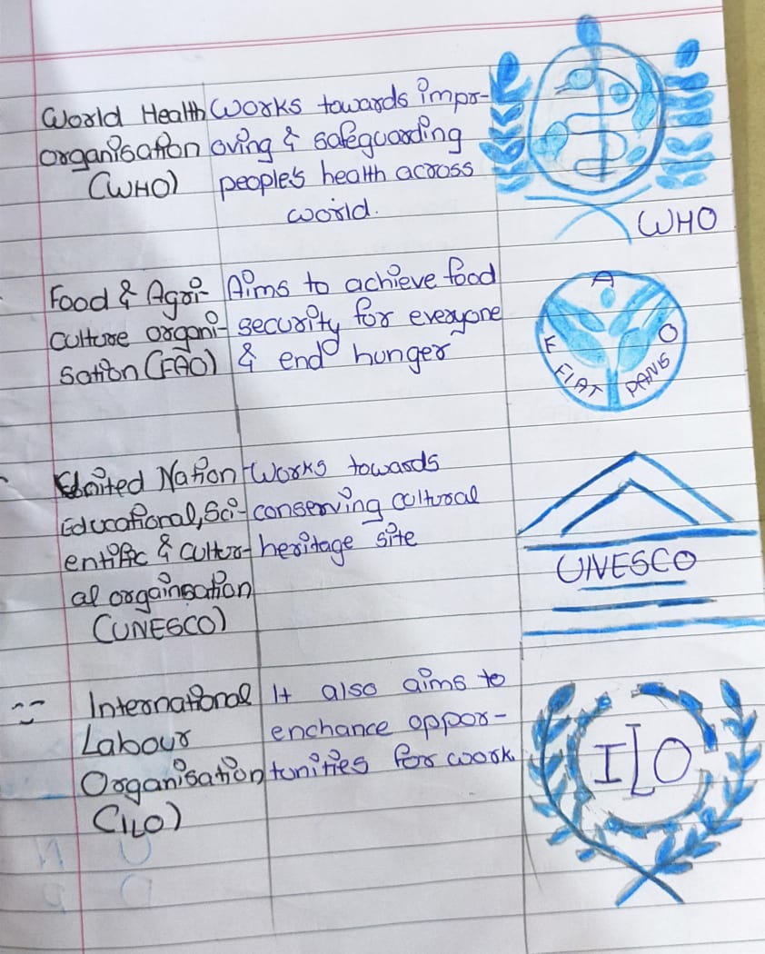 Evs United Nations (Notebook and workbook exercise)
