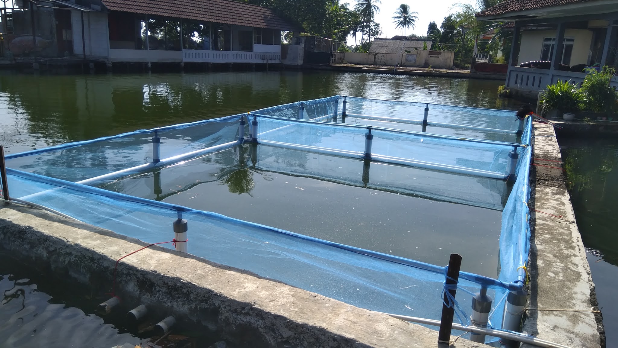 Blog Deni Cage: Keramba jaring apung dari pipa Paralon