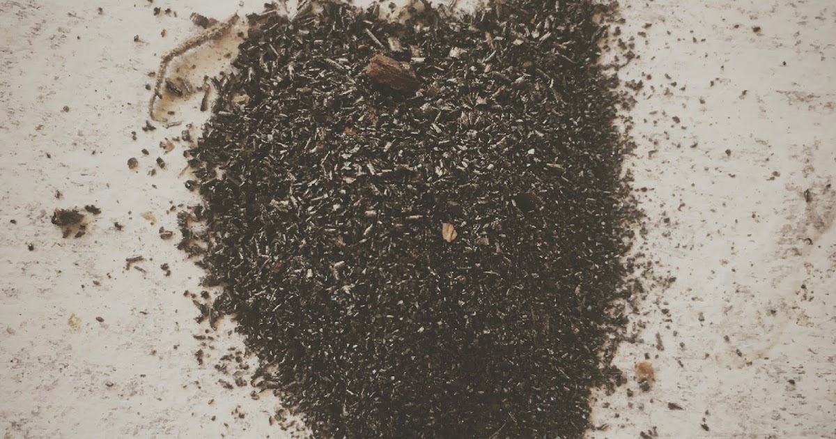 Filipino Conjure & Rootwork