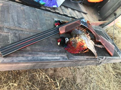 The Rednecks Fly Fishing and Hunting Chronicles: December 2017