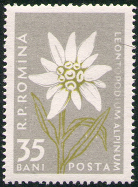 Timbre filatelice: Timbre filatelice cu flori din muntii Carpati