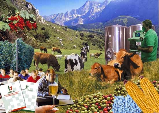 agroalimentacion en venezuela/trabajo de la tic: seguridad alimentaria