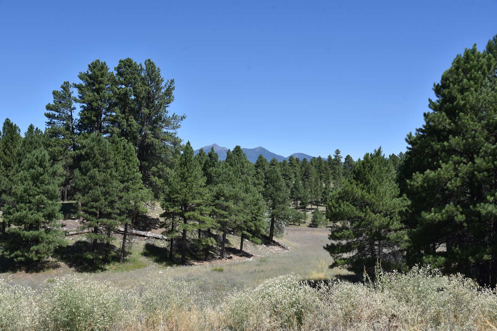 Arizona Hiking: Flagstaff Urban Trails System-Arizona Trail Loop