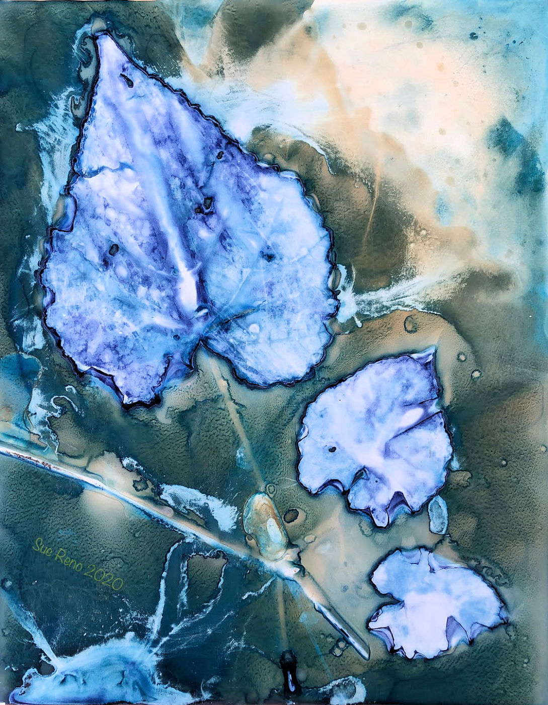 Sue Reno Studio: Experiments in wet cyanotype - part 55