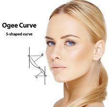 Ogee Gutters for Dummies | The Antisocial Network