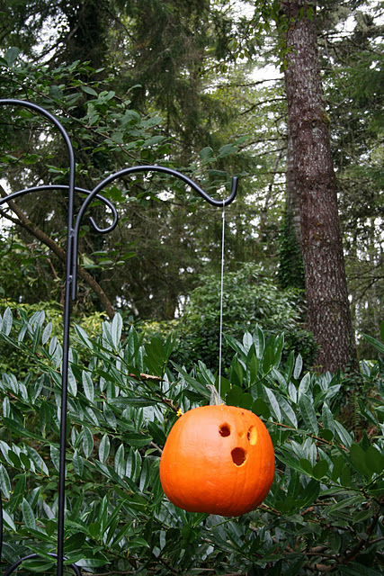 Floating Pumpkin Hanger Kits - Suspend REAL Pumpkins Anywhere: Photos Page