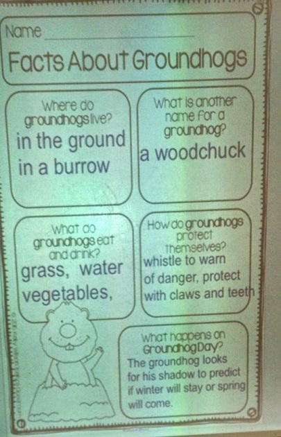 Kelly's Classroom Online: Six Fun Facts about Groundhogs