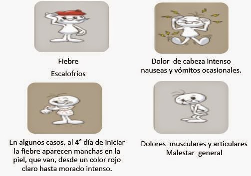 ¿SABÍAS QUÉ… LA RICKETTSIOSIS PUEDE CAUSAR LA MUERTE?