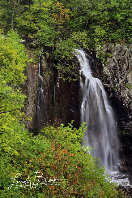 Shenandoah National Park Waterfalls Guide: Overall Run Falls