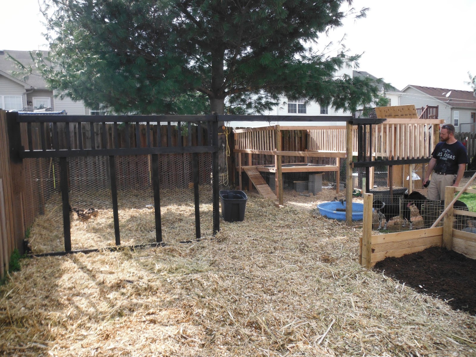 Suburban Backyard Farm
