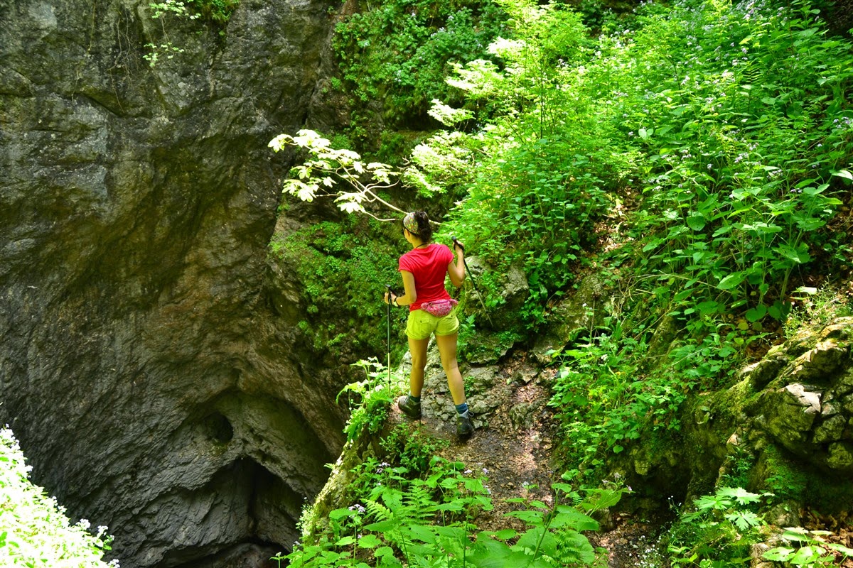 Parcuri Nationale din Romania - Prin Lume Prin Gânduri