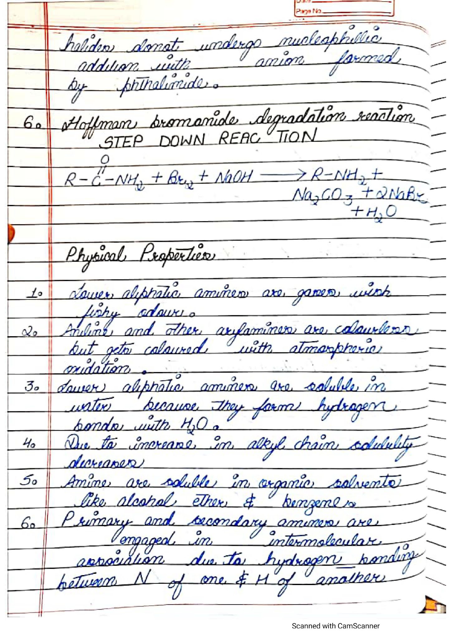 Chemistry Chapter 13- Amines Class 12 Handwritten Notes PDF download