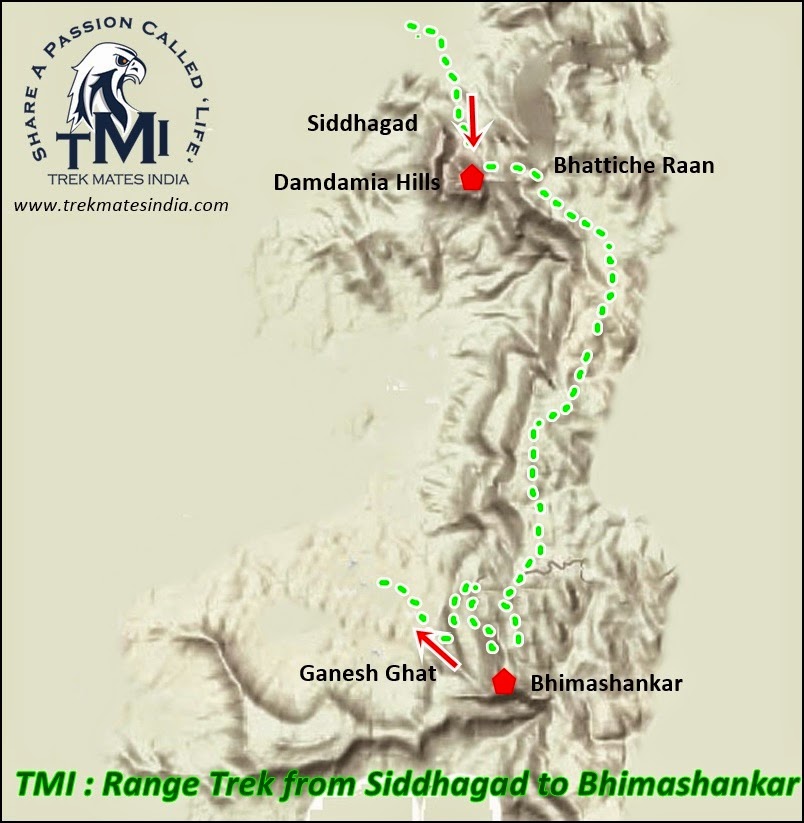 TMI: Range Trek from Bhimashankar (Ladder Route Ascend) to Siddhagad on ...