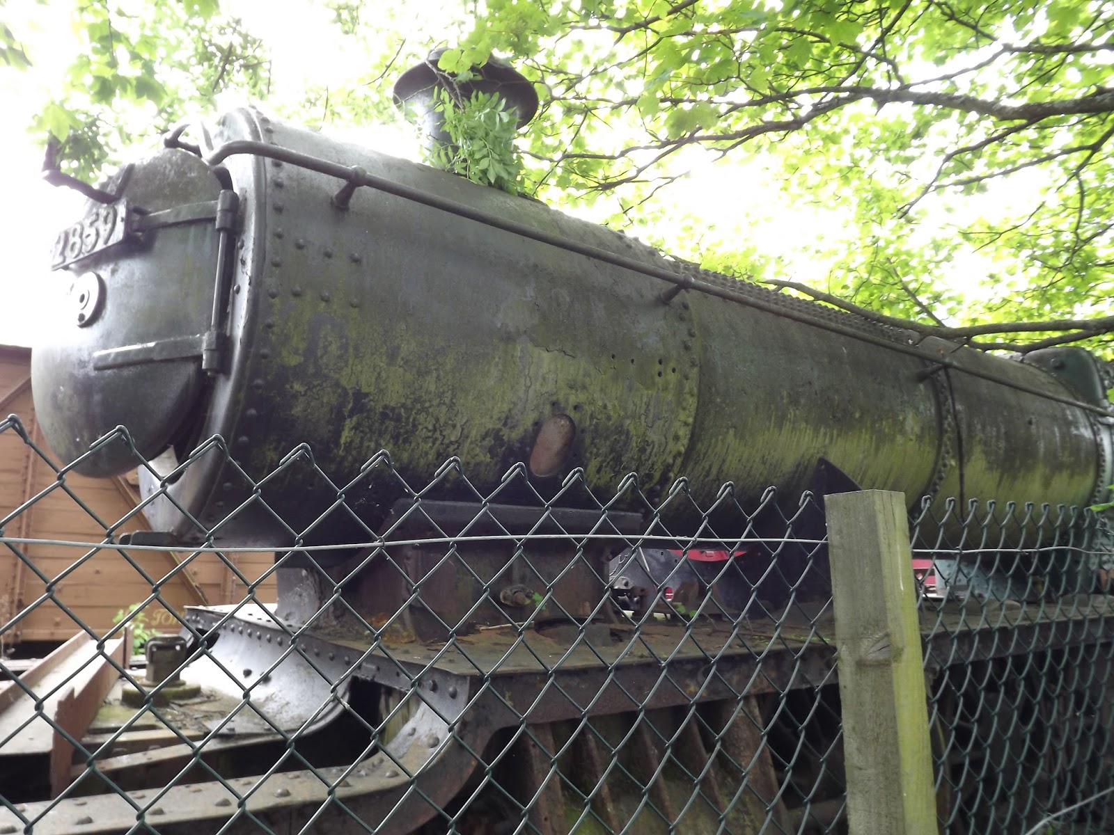 Steam Memories: Llangollen Railway more of my visit GWR 5952 Cogan Hall ...