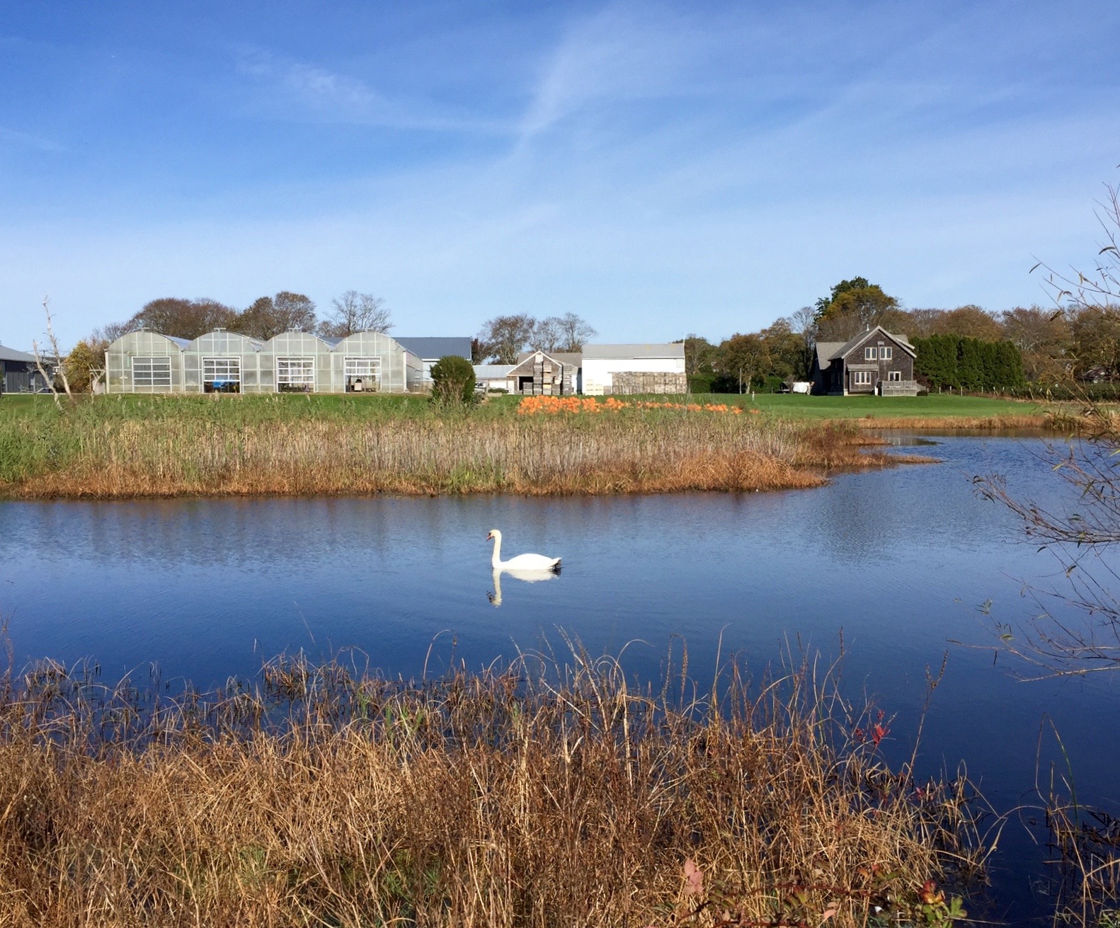 The Milk Pail Water Mill