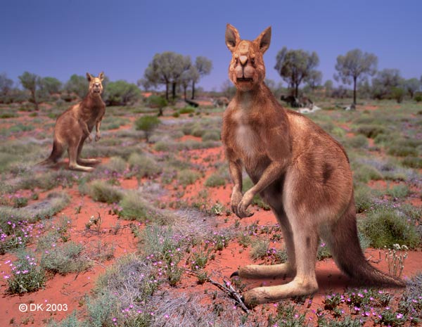 Escenarios prehistóricos: Procoptodon