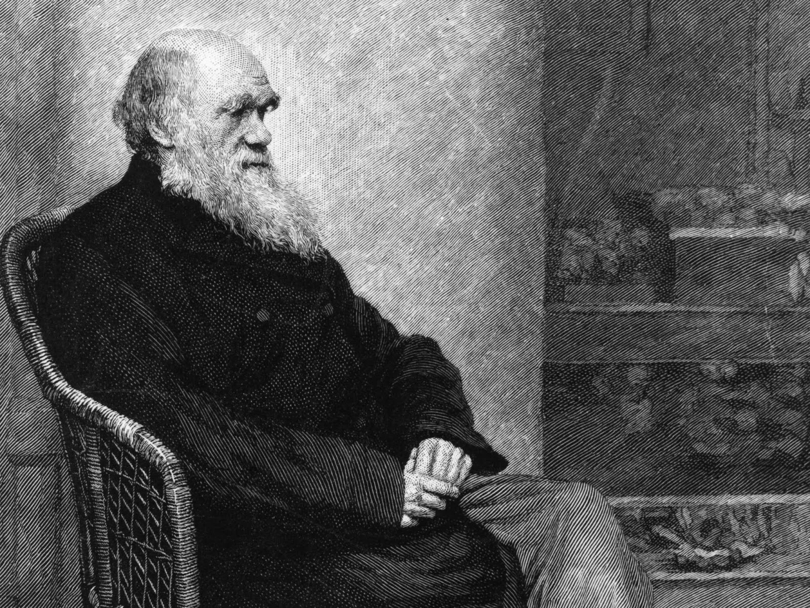 THE GRANDMA'S LOGBOOK ---: CHARLES DARWIN, EVOLUTION & NATURAL SELECTION