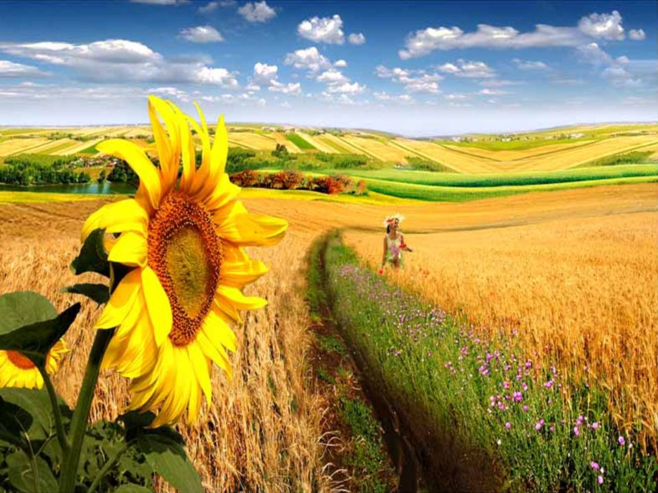 Galerie Foto - Vara ~ Blog D3mon