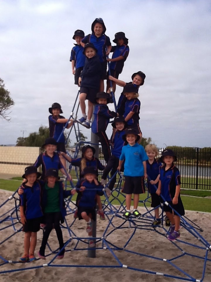 Treendale Primary School Room 8: May 2014