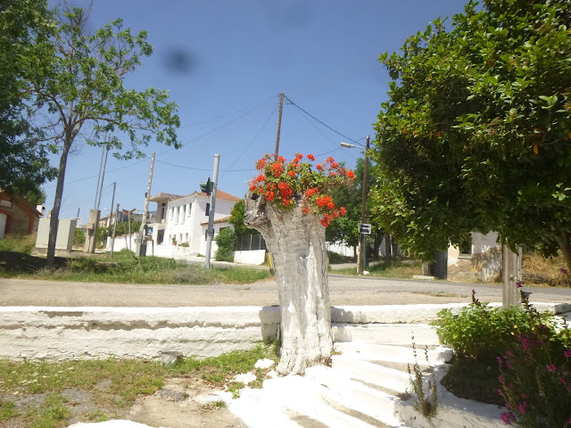 ΠΕΡΙΒΑΛΛΟΝ ΥΓΕΙΑ ΟΙΚΟΛΟΓΙΑ: ΟΤΑΝ ΘΕΛΕΙ Η ΦΥΣΗ ΚΑΙ Η ΖΩΗ. ΒΙΟΛΟΓΙΑ