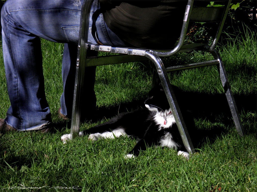 Mr Puddy What s That Funny Smell mr-puddy-what-s-that-funny-smell