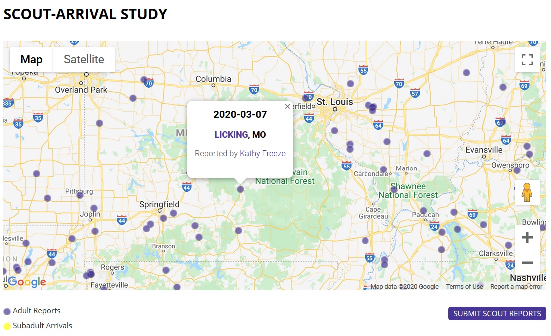 The Birds & The Bees: Purple Martin Arrivals - 2020 Season Begins and ...
