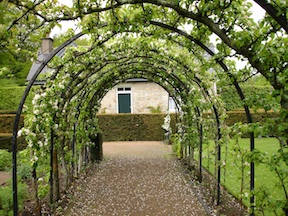 Cityscapes and Garden Gates: Garden Panache