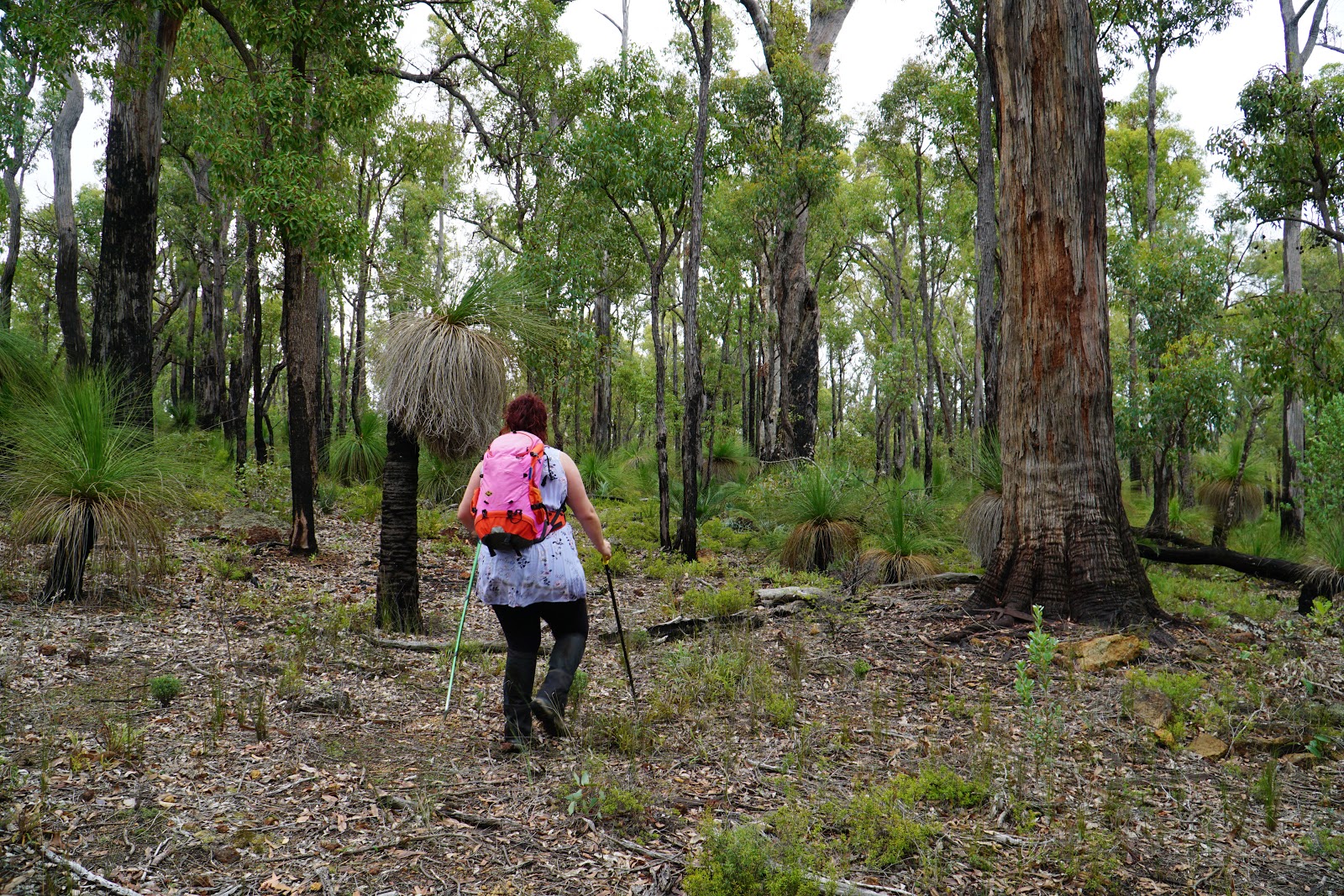 Abyssinia Rock Walk GPS Route (Jarrahdale State Forest) ~ The Long Way ...