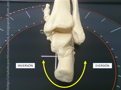 Club Deportivo ANDROX huelva: El Pie del Corredor (II). Movimientos