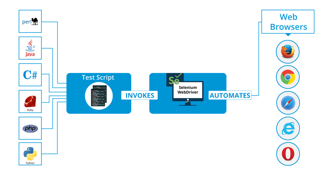 Your Technical Skills: Introduction to Selenium WebDriver
