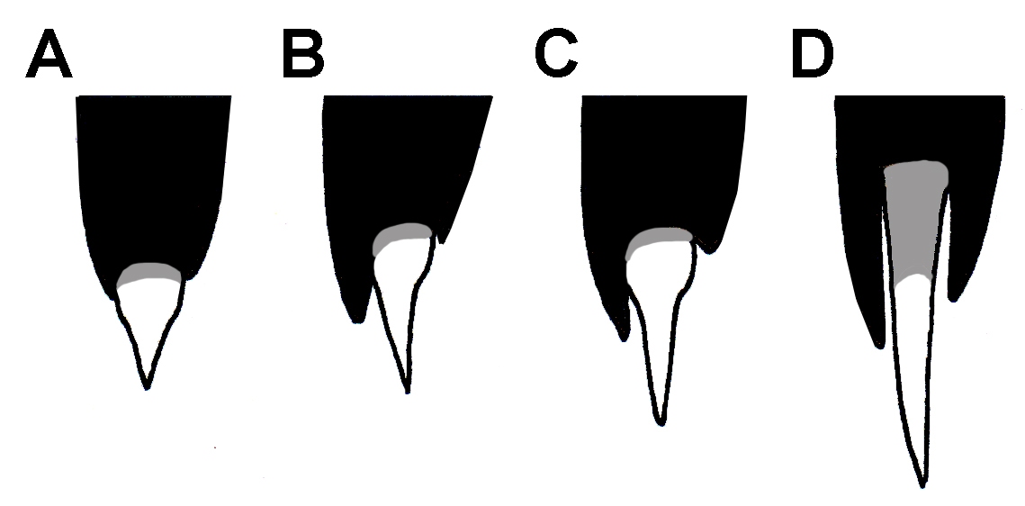 The Pondering Gulch: Et Tunc Nulla Erat V