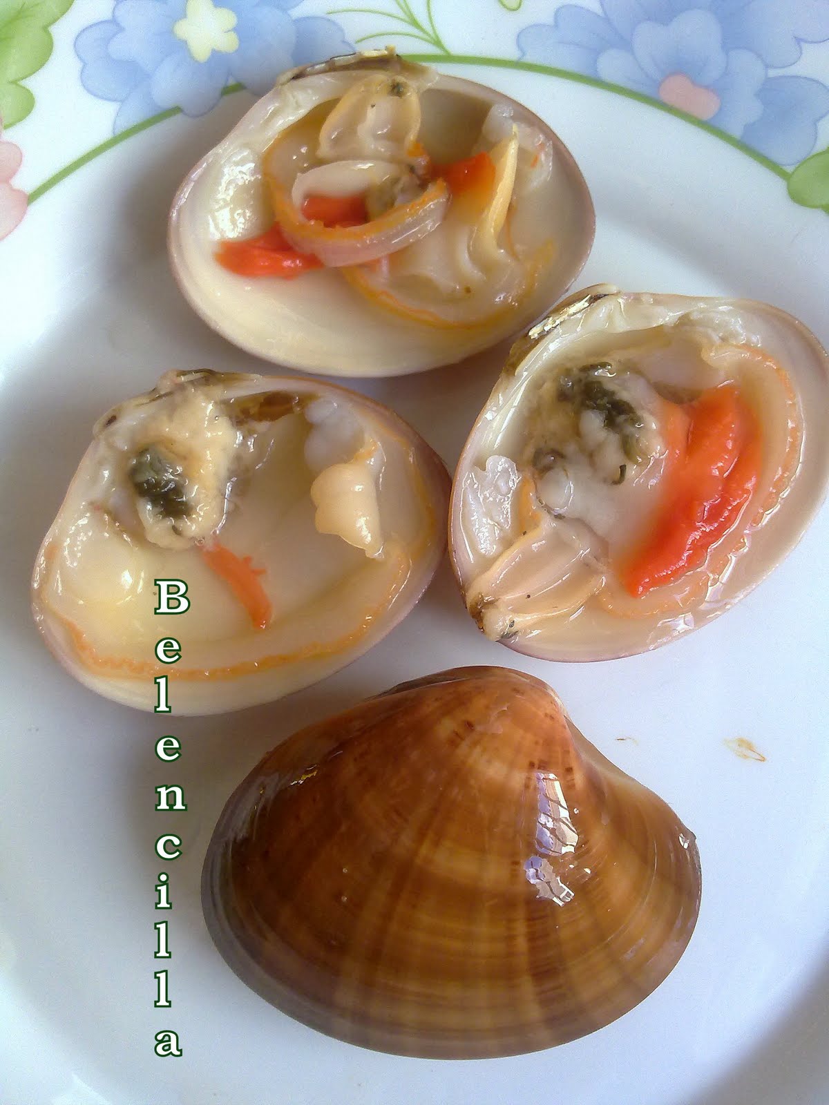 Conchas finas al natural