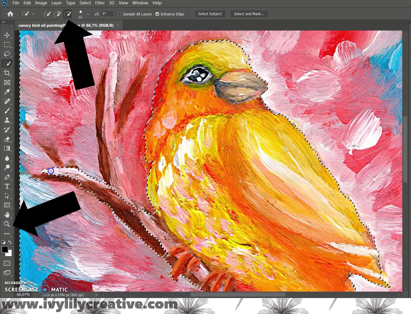How To Make A Transparent Background In Photoshop how-to-make-a-transparent-background-in-photoshop