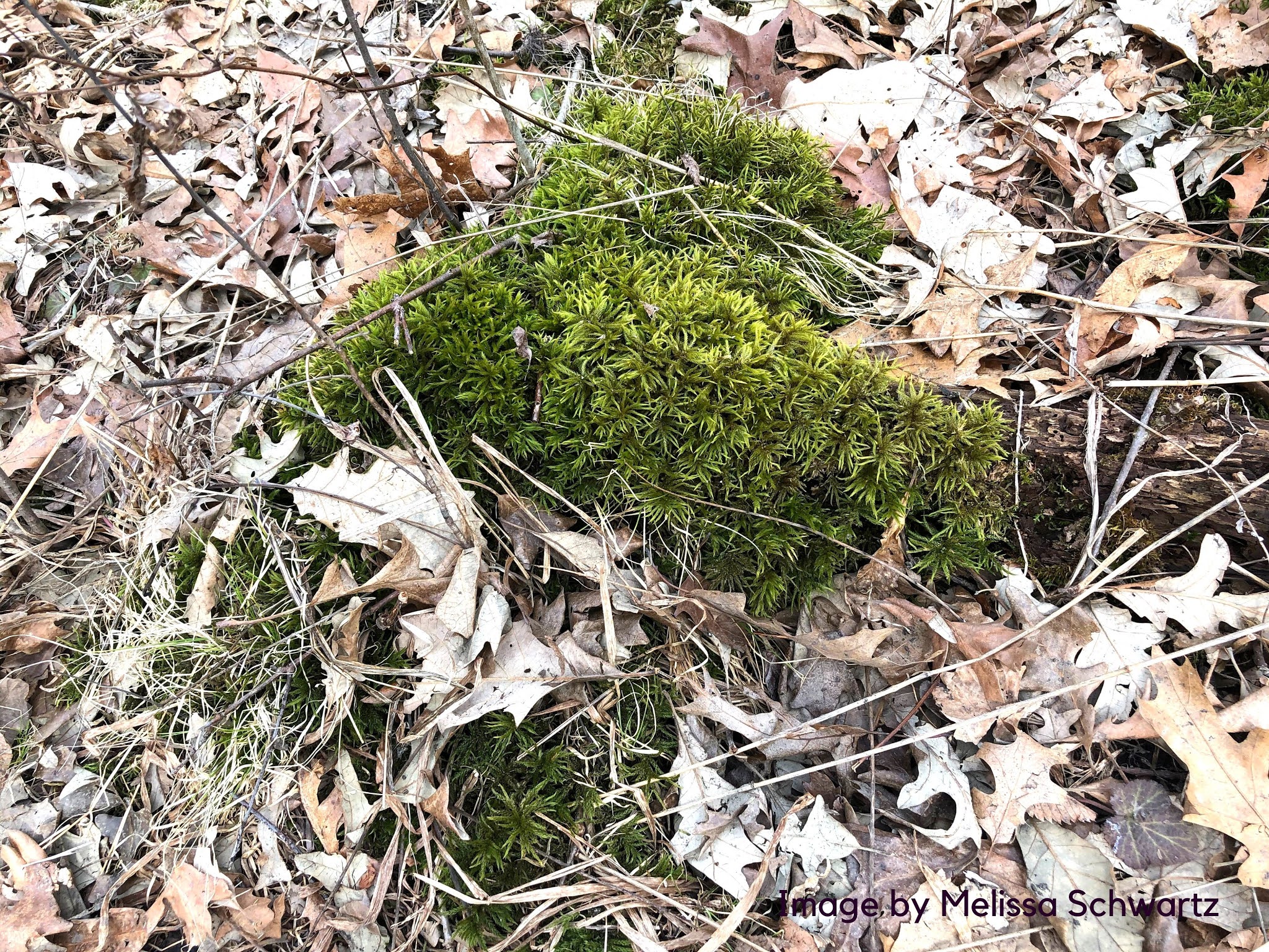 A Little Time and a Keyboard: Celebrating the Change of Seasons ...