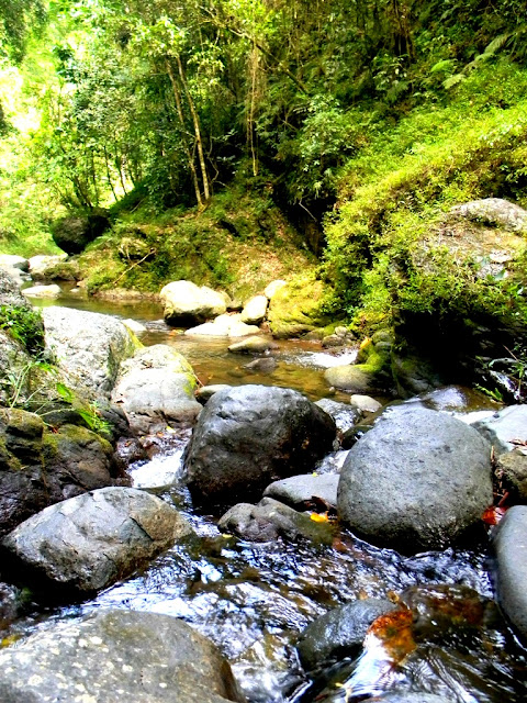 Imugan Falls (Nueva Vizcaya) - The Filipino Rambler