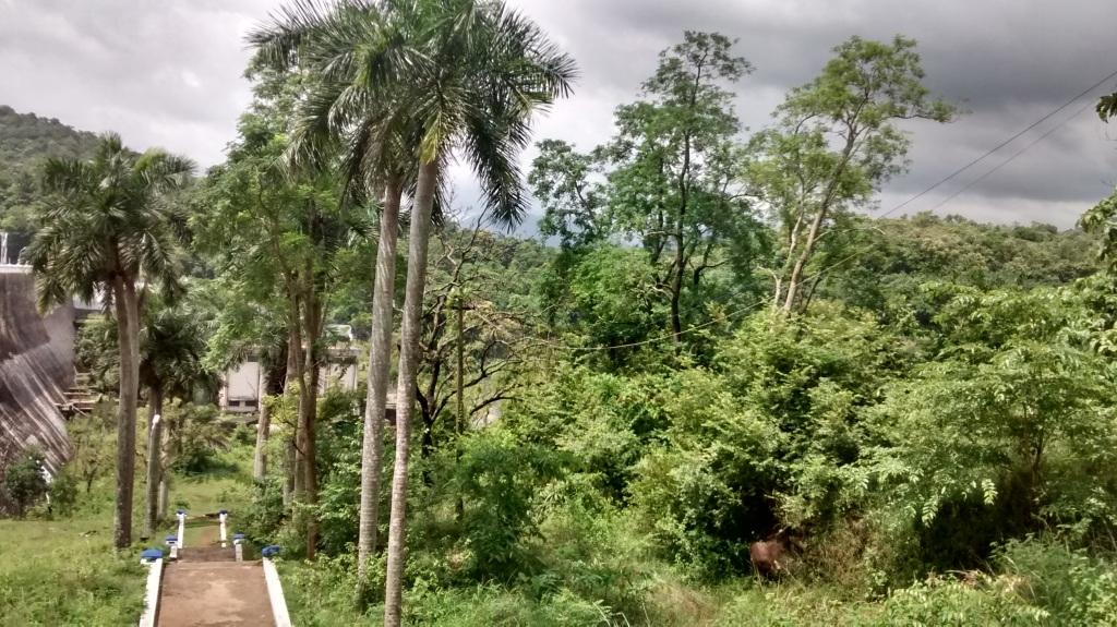Tamilnadu Tourism: Perunchani Dam, Kalkulam, Kanyakumari