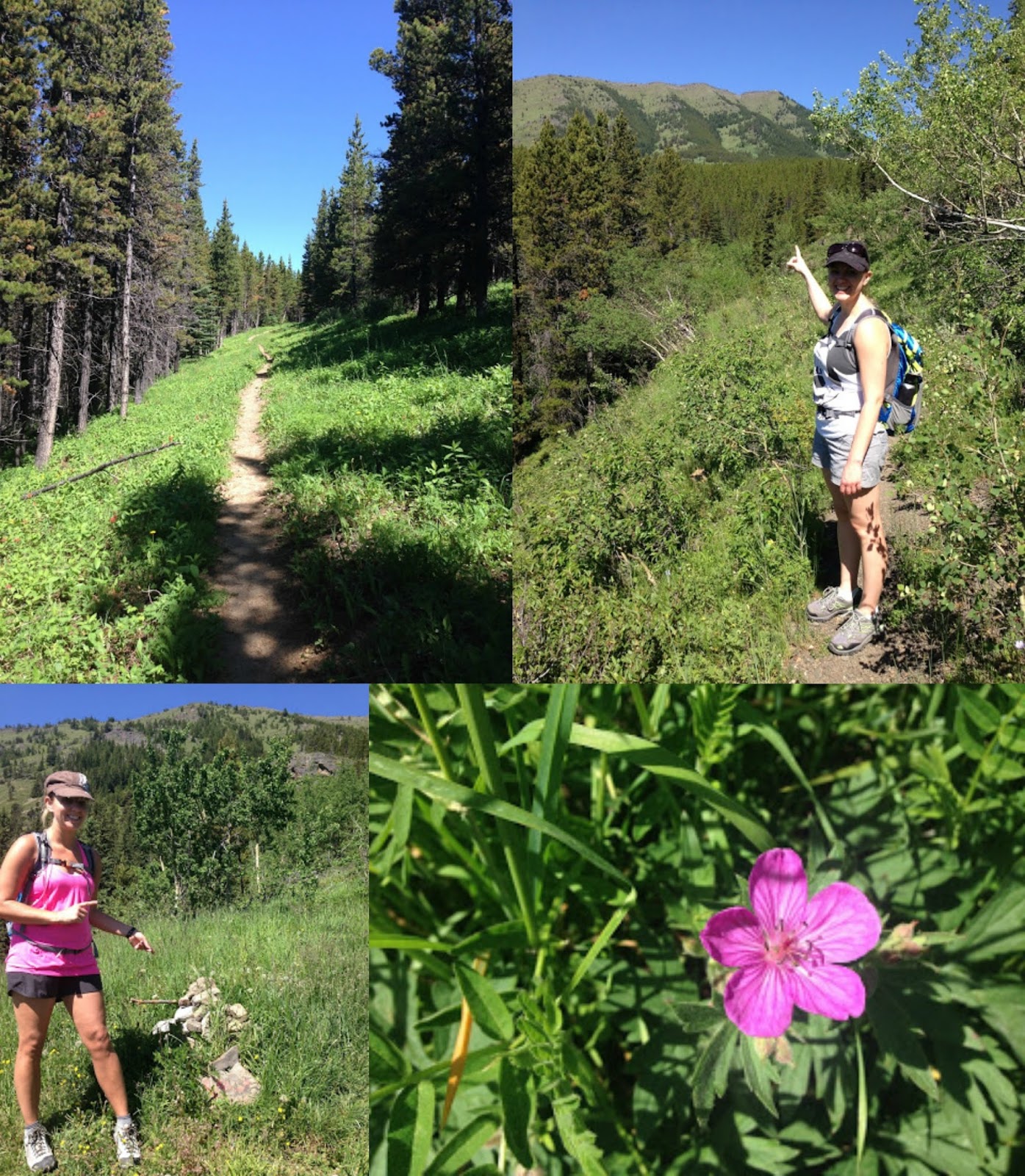 Her Mountain Adventures: Raspberry Ridge - Hike