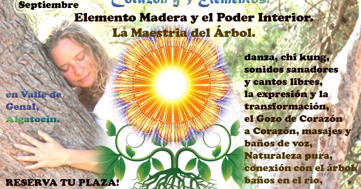 VOZ DEL CORAZÓN: 2 modulo: ELEMENTO MADERA Y EL PODER INTERIOR ...