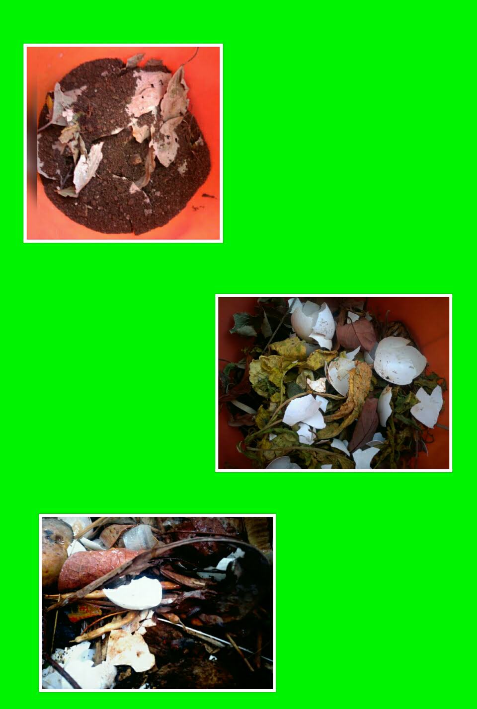 Como elaborar una composta?