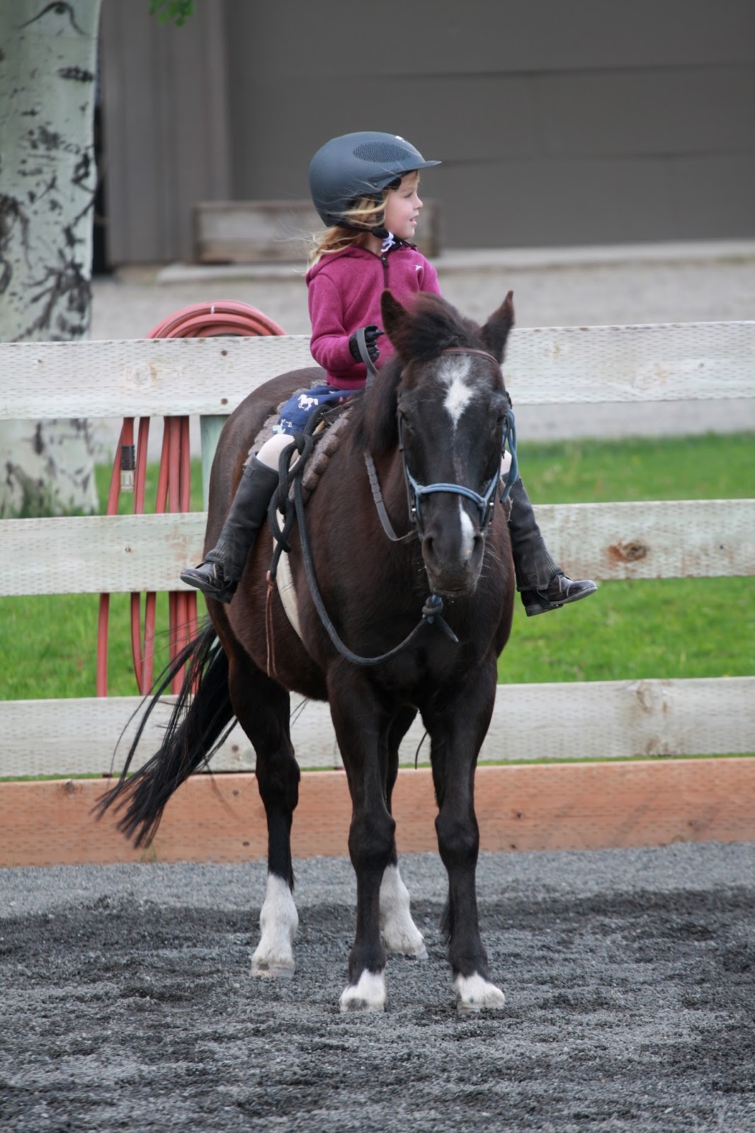 Methow Valley Riding Unlimited