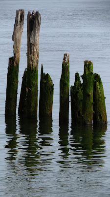 Awful Normal Photography